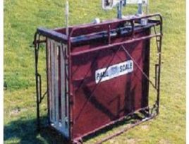 Livestock Scales For Sale Online - Prime USA Scales