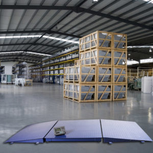 Digiweigh Floor Scale & Ramp - Prime USA Scales