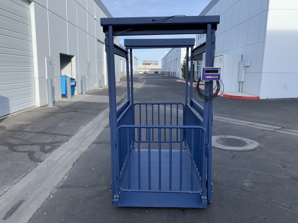 Used Cattle Scale 3 000 Lb Capacity Prime USA Scales used-cattle-scale-3-000-lb-capacity-prime-usa-scales