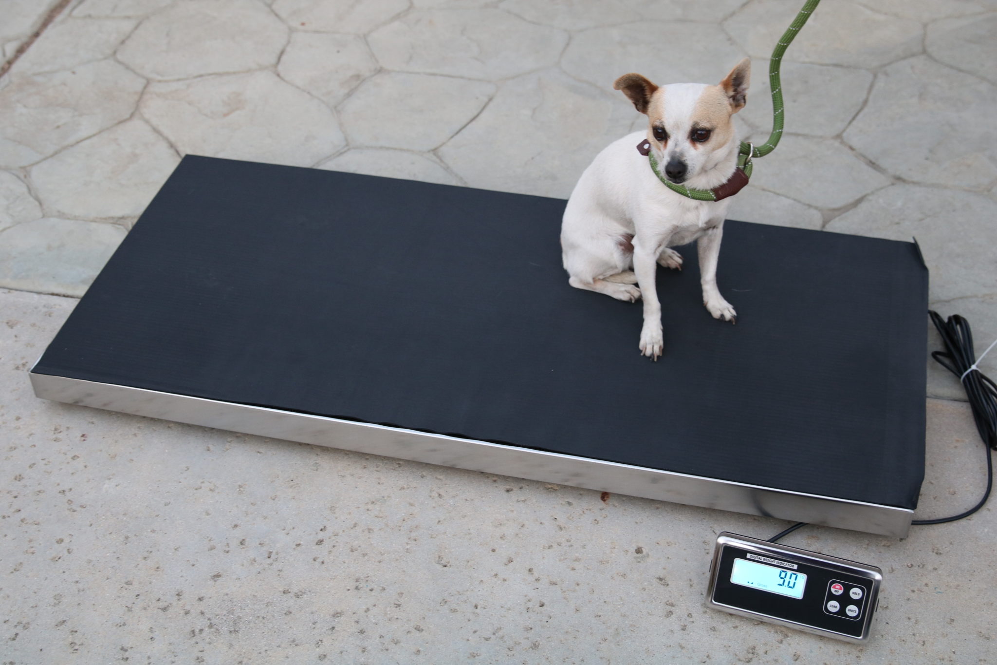 US-LS4320 Animal Livestock Scale with Optional Cage & Printer - Prime ...