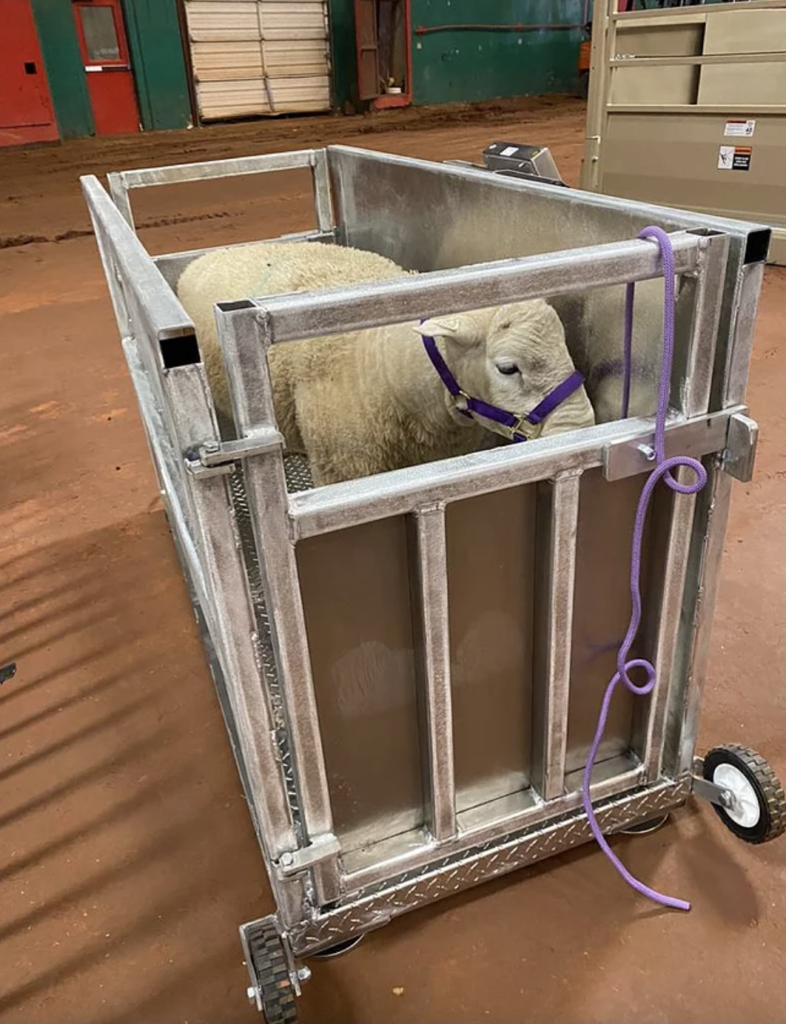 OP-930-LT Aluminum Portable Livestock Scale (USA Made) - Prime USA Scales