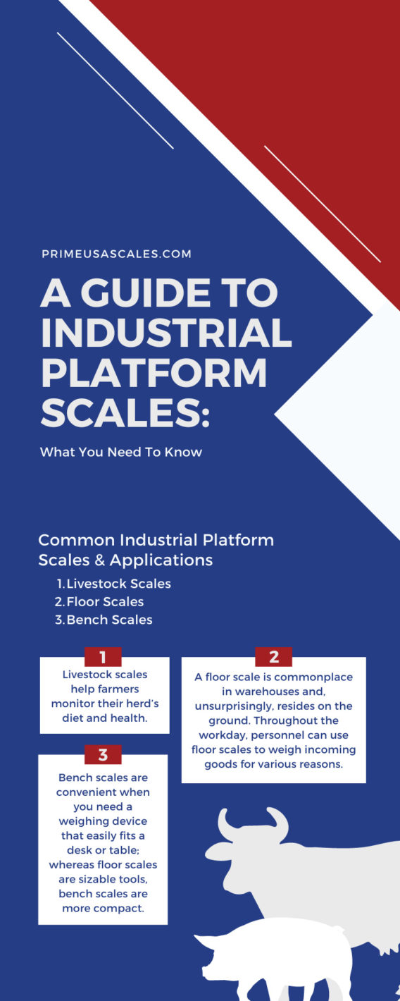 A Guide To Industrial Platform Scales: What You Need To Know