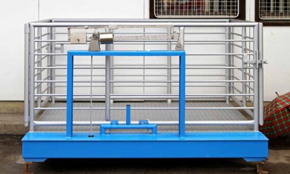 5 Advantages of Portable Livestock Scales