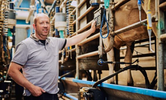 Why Livestock Weighing Is Important for Animal Health