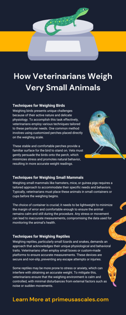How Veterinarians Weigh Very Small Animals