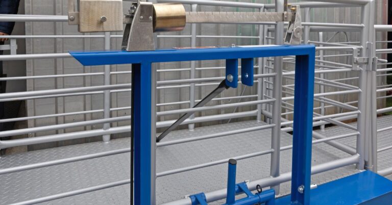 A Look at the Challenges of Weighing Very Large Animals