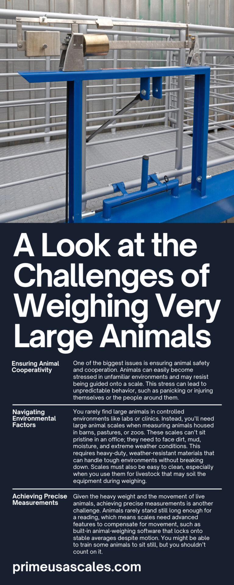 A Look at the Challenges of Weighing Very Large Animals
