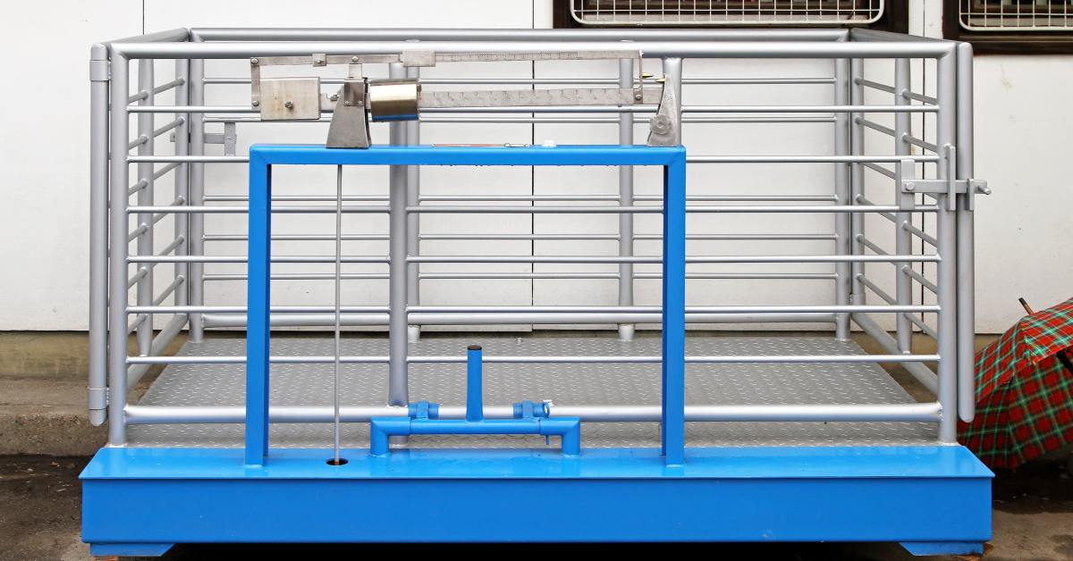 Portable Livestock Scales: Hydraulic vs. Digital Load Cells